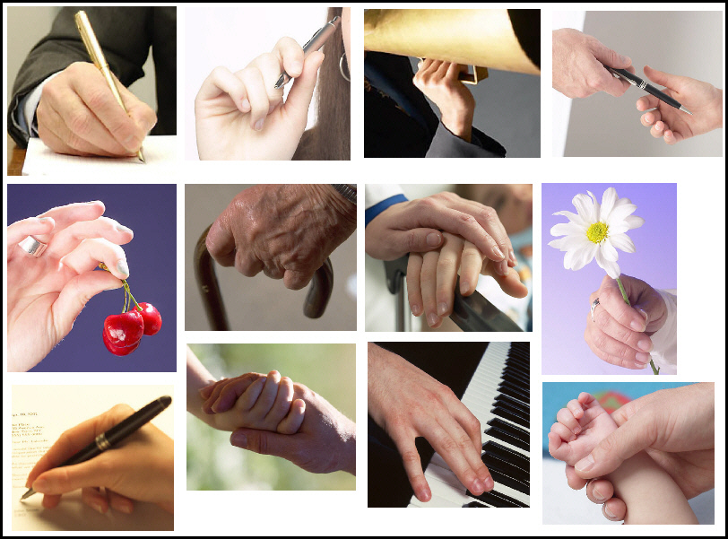 Hand - Medienwerkstatt-Wissen © 2006-2024 Medienwerkstatt