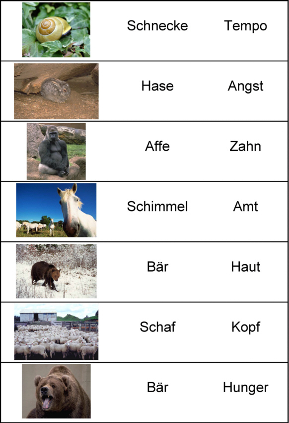 Aus Tiernamen neue Nomen bilden 1 - Medienwerkstatt-Wissen © 2006-2025 ...