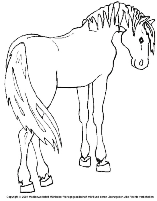 Pferd 4 - Medienwerkstatt-Wissen © 2006-2025 Medienwerkstatt