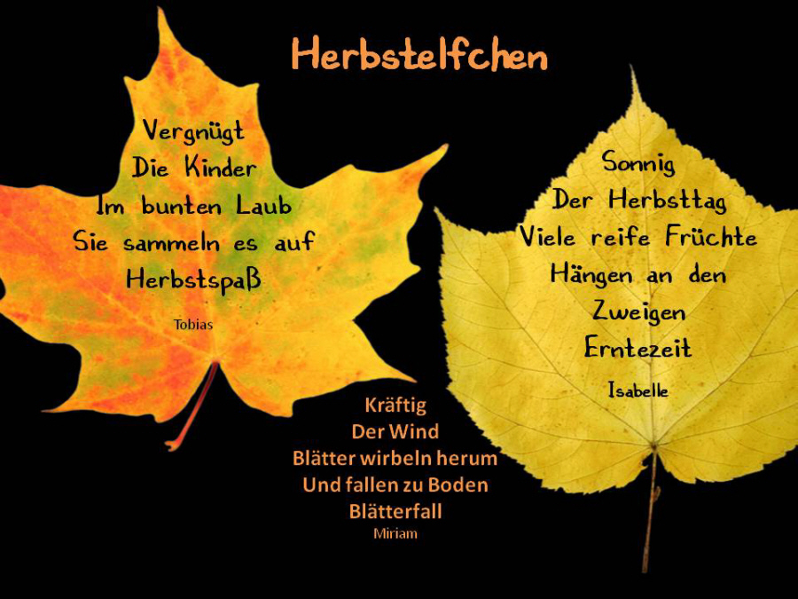 Herbst-Elfchen von Schülern - 1 - Medienwerkstatt-Wissen © 2006-2025 Medienwerkstatt