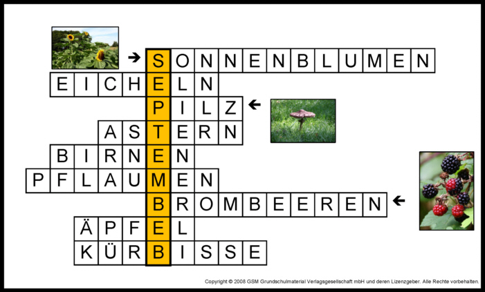 Herbst-Monats-Rätsel 2 Lösung - Medienwerkstatt-Wissen © 2006-2025 Medienwerkstatt