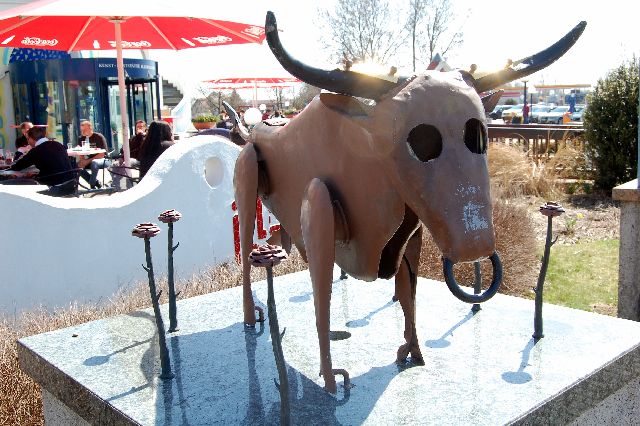 Stier - Medienwerkstatt-Wissen © 2006-2025 Medienwerkstatt