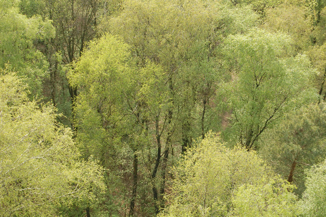 Funkturm Groß Reken Melchenberg - Fotos von der Aussichtsplattform 2 ...