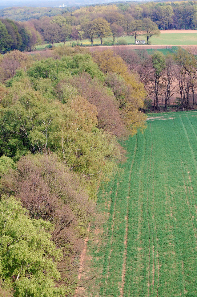 Funkturm Groß Reken Melchenberg - Fotos von der Aussichtsplattform 2 ...