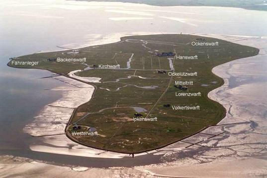 Hallig Hooge allgemein - Medienwerkstatt-Wissen © 2006-2025 Medienwerkstatt