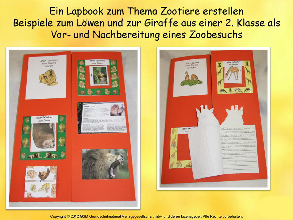 Ein Lapbook zum Thema Tiere erstellen - 4 - Medienwerkstatt-Wissen © 2006-2025 Medienwerkstatt
