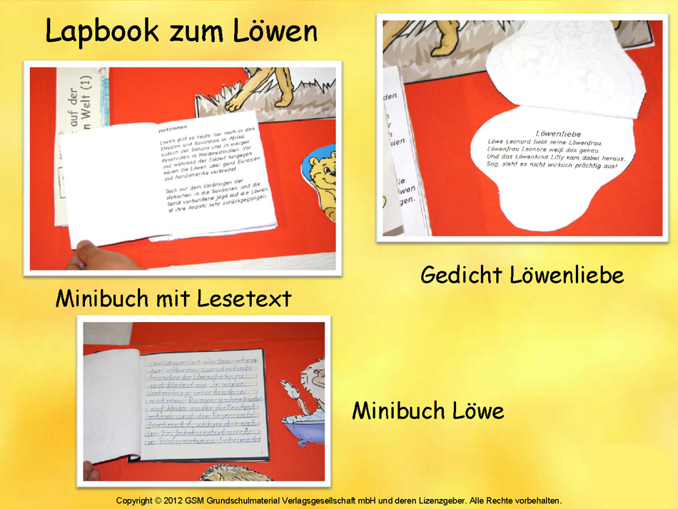 Ein Lapbook zum Thema Tiere erstellen - 4 - Medienwerkstatt-Wissen © 2006-2025 Medienwerkstatt