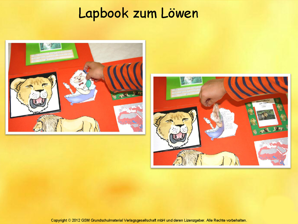 Ein Lapbook zum Thema Tiere erstellen - 5 - Medienwerkstatt-Wissen © 2006-2025 Medienwerkstatt