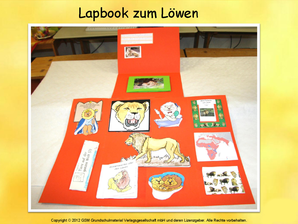Ein Lapbook zum Thema Tiere erstellen - 5 - Medienwerkstatt-Wissen © 2006-2025 Medienwerkstatt