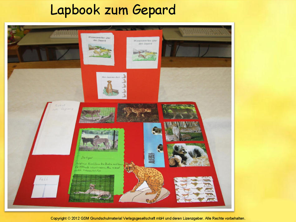 Ein Lapbook zum Thema Tiere erstellen - 7 - Medienwerkstatt-Wissen © 2006-2025 Medienwerkstatt