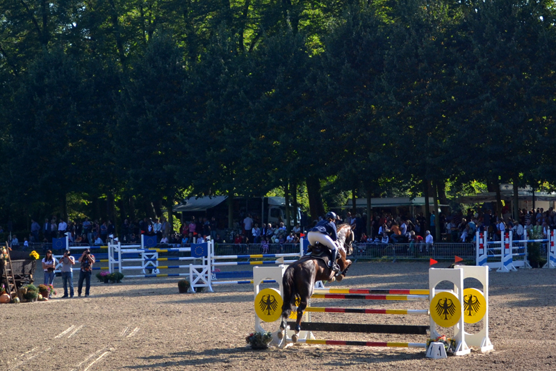 Springreiten - Fotos 1 - Medienwerkstatt-Wissen © 2006-2025 Medienwerkstatt