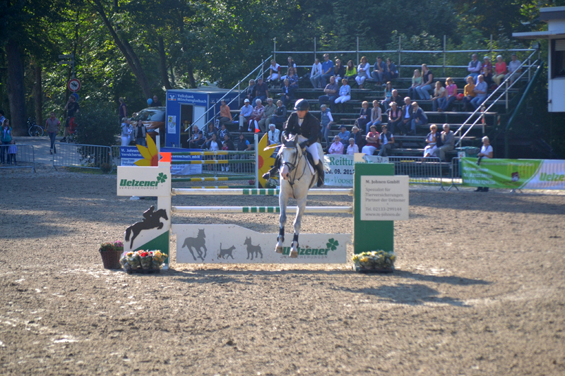 Springreiten - Fotos 2 - Medienwerkstatt-Wissen © 2006-2025 Medienwerkstatt