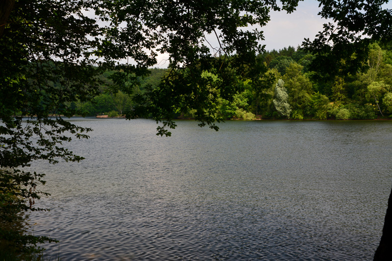 Steinbachtalsperre - Fotos 2 - Medienwerkstatt-Wissen © 2006-2025 ...