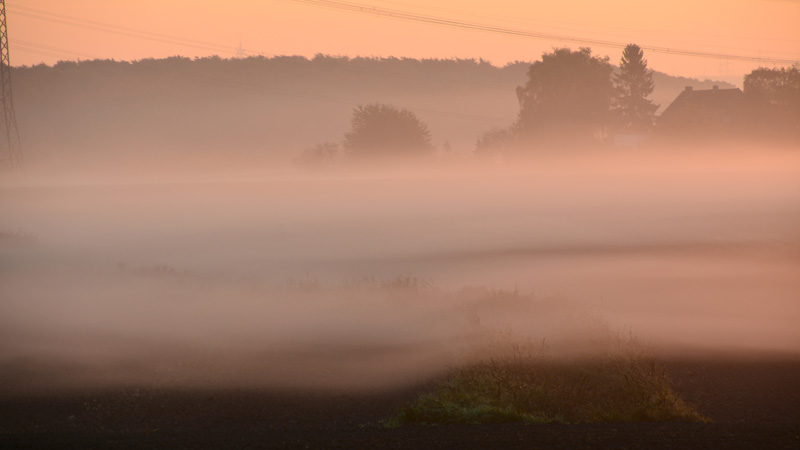 Nebel - Fotos 3 - Medienwerkstatt-Wissen © 2006-2025 Medienwerkstatt