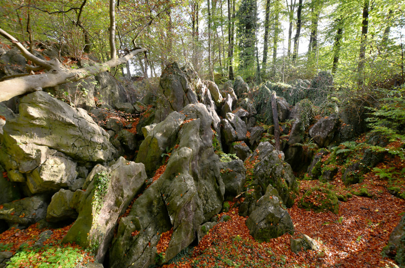 Felsenmeer - Fotos 5 - Medienwerkstatt-Wissen © 2006-2025 Medienwerkstatt