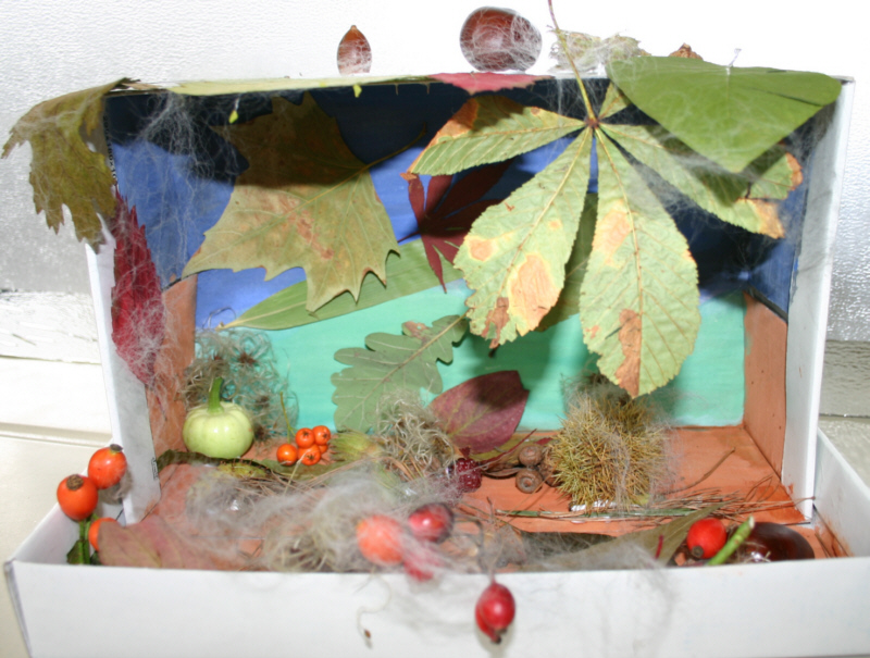 Herbstlandschaft im Schuhkarton - Fotos 2 - Medienwerkstatt-Wissen © 2006-2025 Medienwerkstatt