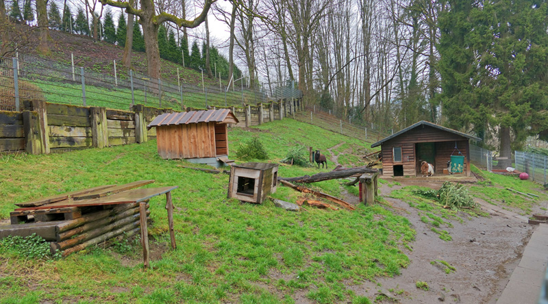 Hülsenbecker Tal - Fotos 2 - Medienwerkstatt-Wissen © 2006-2025 Medienwerkstatt