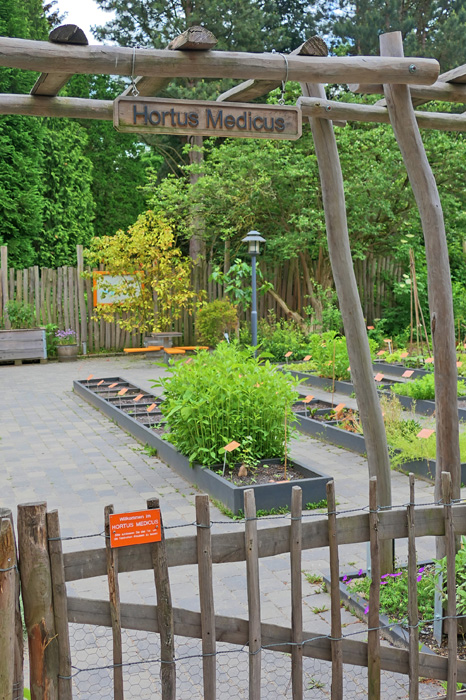 Heilkräuter-Garten (Hortus Medicus) - Medienwerkstatt-Wissen © 2006 ...