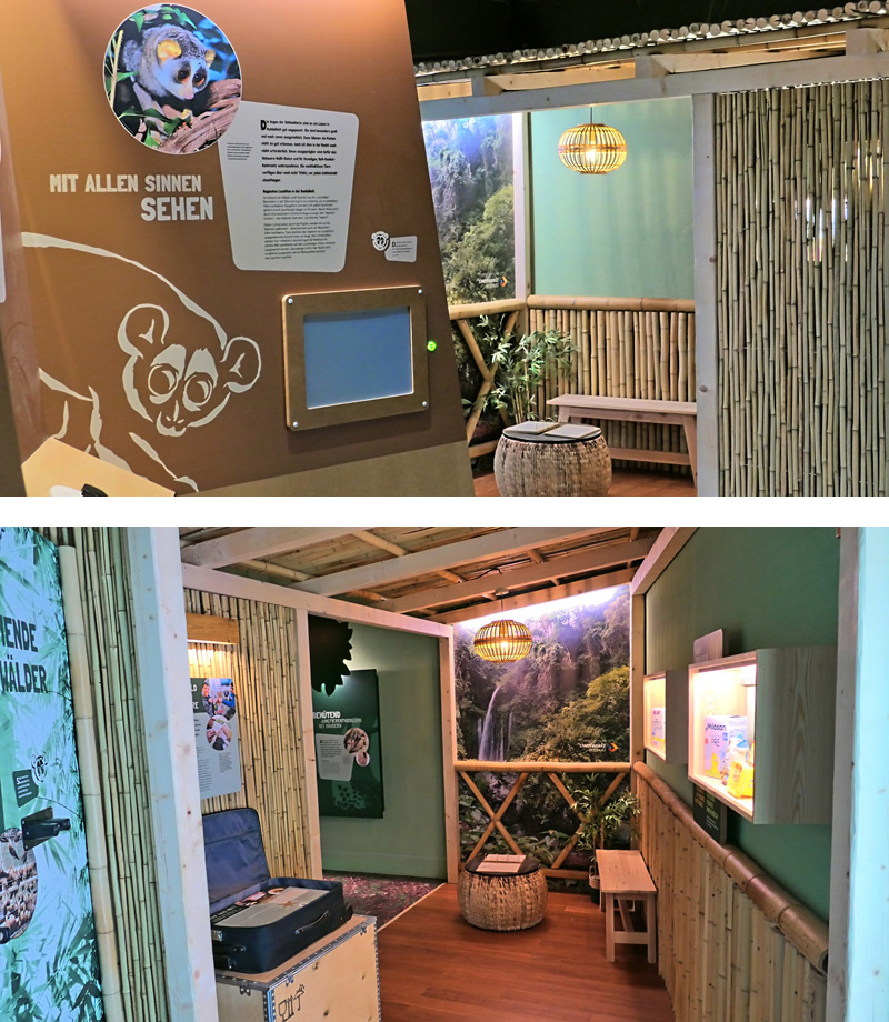 Interaktive Erlebnisausstellung „Dschungel hautnah" - Medienwerkstatt-Wissen © 2006-2025 ...