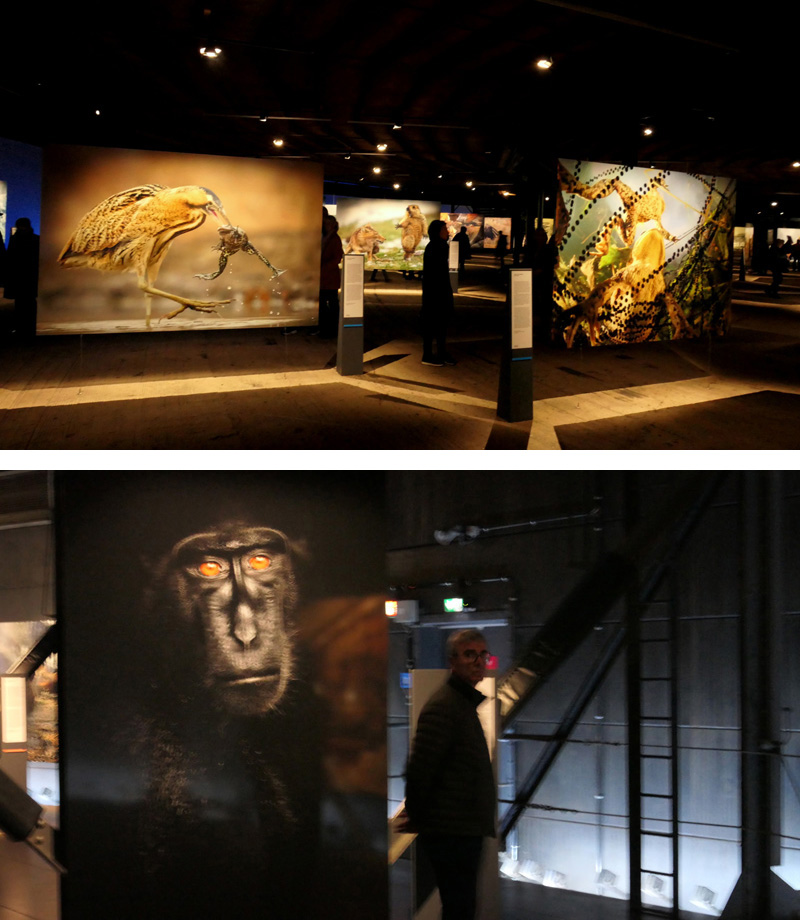 Das zerbrechliche Paradies - Fotos 1 - Medienwerkstatt-Wissen © 2006-2025 Medienwerkstatt