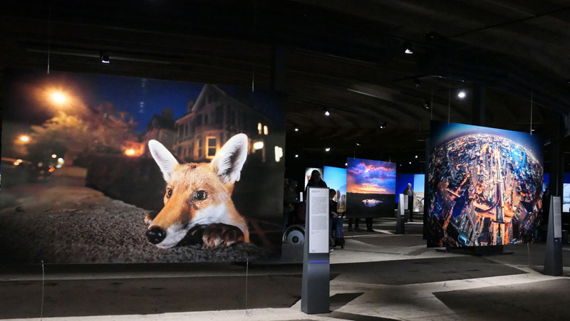 Das zerbrechliche Paradies - Fotos 1 - Medienwerkstatt-Wissen © 2006-2025 Medienwerkstatt