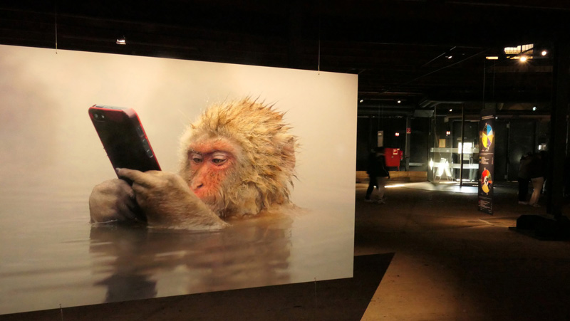 Das zerbrechliche Paradies - Fotos 2 - Medienwerkstatt-Wissen © 2006-2025 Medienwerkstatt