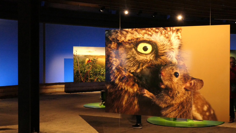 Das zerbrechliche Paradies - Fotos 3 - Medienwerkstatt-Wissen © 2006-2025 Medienwerkstatt