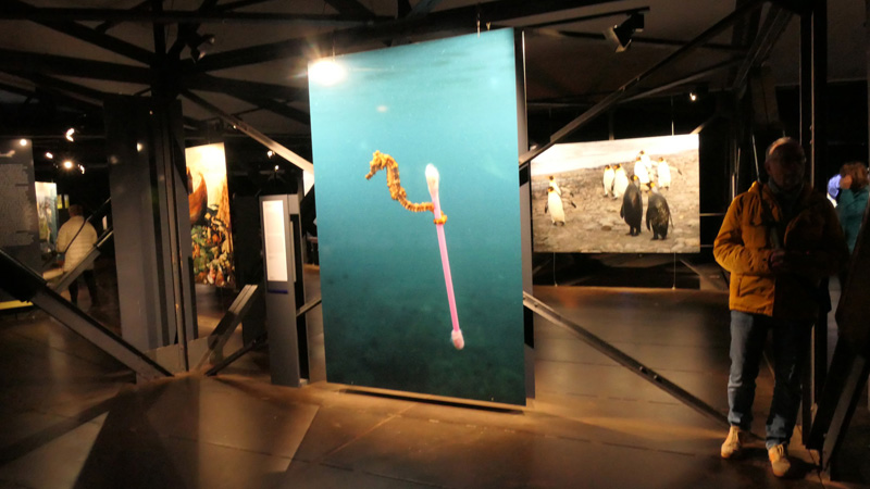 Das zerbrechliche Paradies - Fotos 4 - Medienwerkstatt-Wissen © 2006-2025 Medienwerkstatt