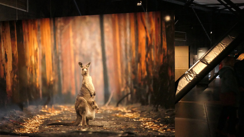 Das zerbrechliche Paradies - Fotos 4 - Medienwerkstatt-Wissen © 2006-2025 Medienwerkstatt