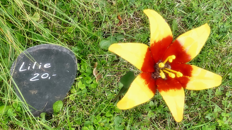 Blumen - Fotos 1 - Medienwerkstatt-Wissen © 2006-2025 Medienwerkstatt