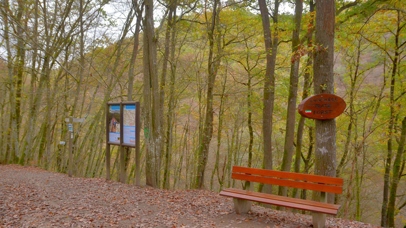 Wanderweg zur Geierlay - allgemein - Medienwerkstatt-Wissen © 2006-2026 ...