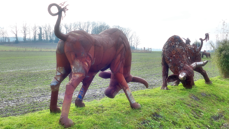 Stier 1 - Medienwerkstatt-Wissen © 2006-2025 Medienwerkstatt