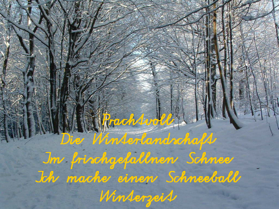 Weihnachts- und Winter-Elfchen / Teil 3 - Medienwerkstatt-Wissen © 2006 ...