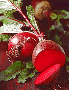 Rote Bete / Rote Rübe - Medienwerkstatt-Wissen © 2006-2022 Medienwerkstatt