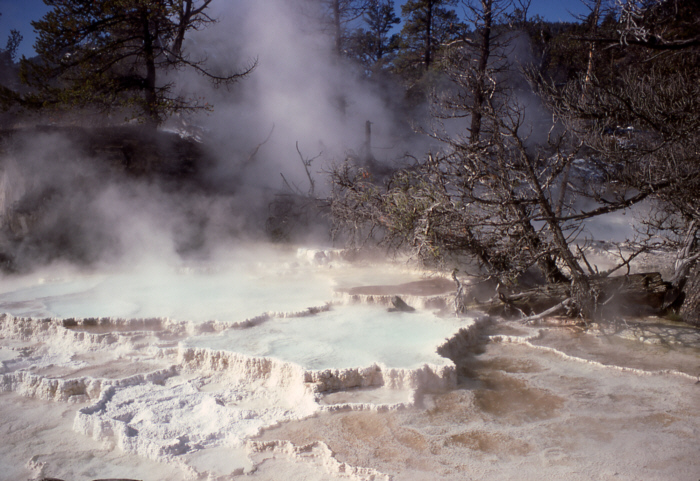 Heiße Quellen - Fotos 2 - Medienwerkstatt-Wissen © 2006-2026 ...