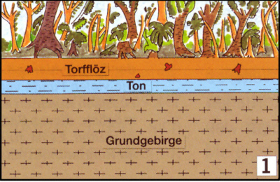 Vom Waldsumpfmoor zum Kohlenflöz - Die Entstehung der Kohle - Teil 1 ...