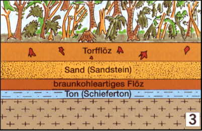 Vom Waldsumpfmoor zum Kohlenflöz - Die Entstehung der Kohle - Teil 1 - Medienwerkstatt-Wissen ...